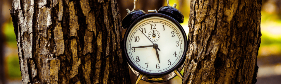 How to Provide the Best Real-Time Customer Support in 2025 | LiveAgent ...
